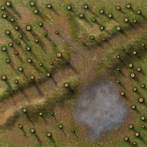 Muddy Forest Road 36 x 36 RPG Encounter Map - Loke BattleMats | Fantasy ...